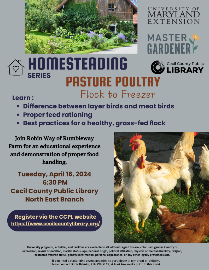 Homesteading Series - Pasture Poultry: Flock to Freezer | College of Agriculture & Natural ...